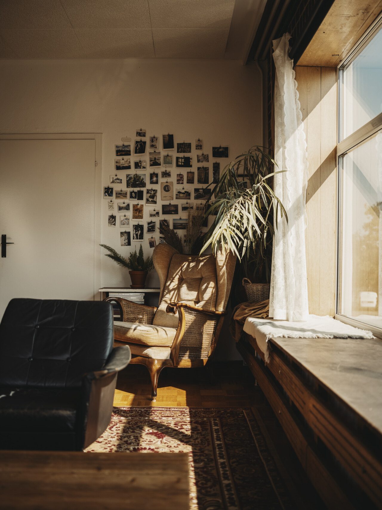 Studio ISO 50 – ISO Studios